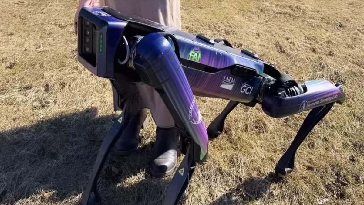 Alaska Testing $70K Robot Pet Dog for Clearing Wildlife from Airport ...