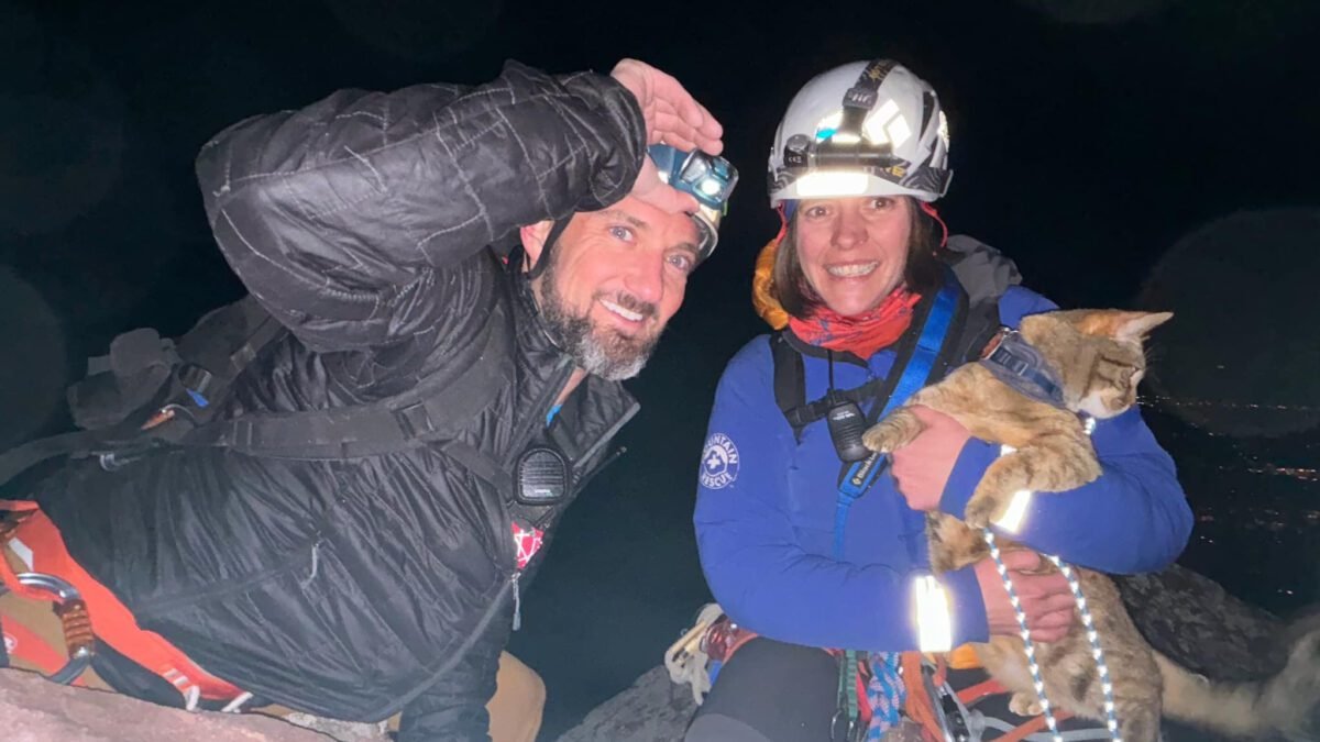 Rock-Climbing Home Cat 'Breaks Boundaries' and 'Enjoys Boops' - Camping ...